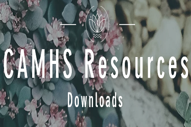 CAMHS Resources - All Hallows Catholic High School